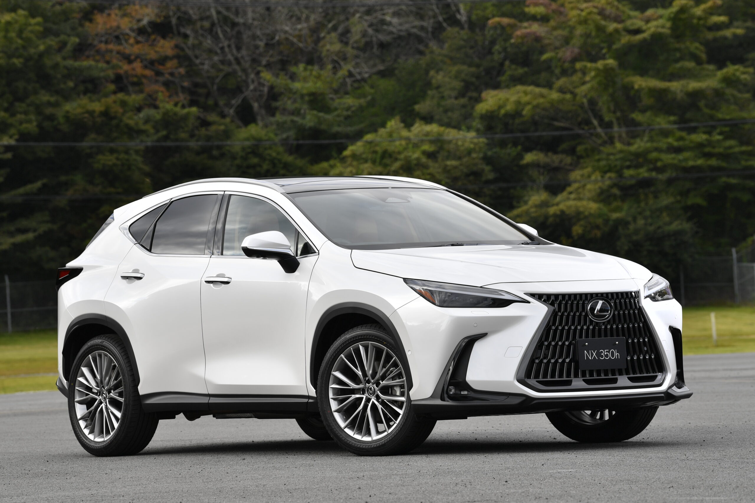 レクサスの世界戦略を担うSUV NX – CABABA - 自動車フリマ（車の個人売買）。カババ