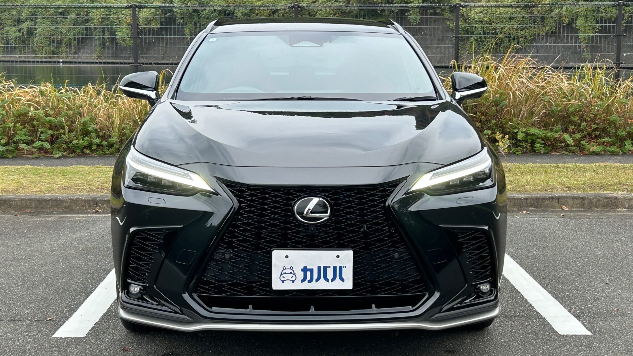 【2025年版】レクサス NX最新のリセールバリューは高い？ 人気のグレードやオプションも徹底解説 – CABABA - 自動車フリマ（車の個人売買）。カババ