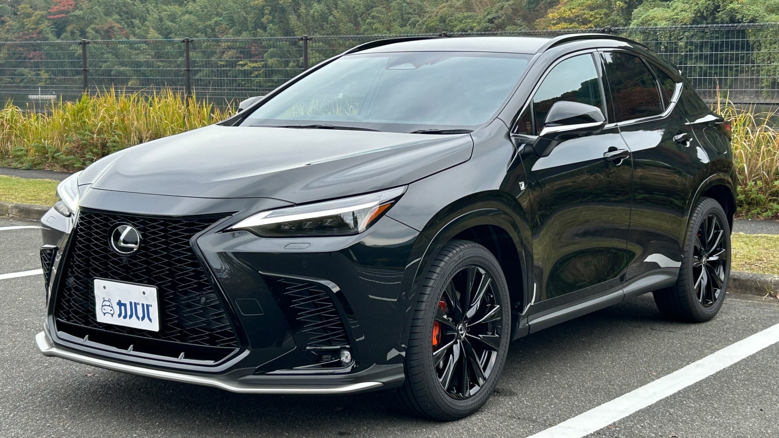 【2025年版】レクサス NX最新のリセールバリューは高い？ 人気のグレードやオプションも徹底解説 – CABABA - 自動車フリマ（車の個人売買）。カババ